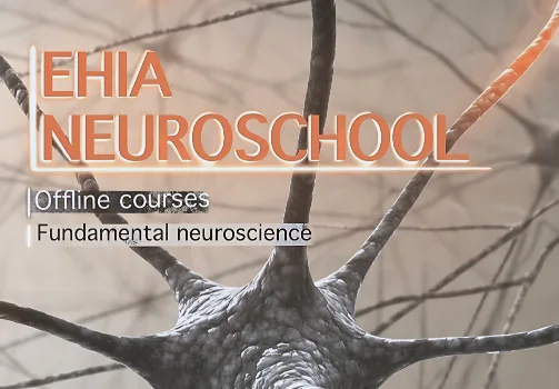 نورواسکول| مدرسه جامع علوم اعصاب - EHIA